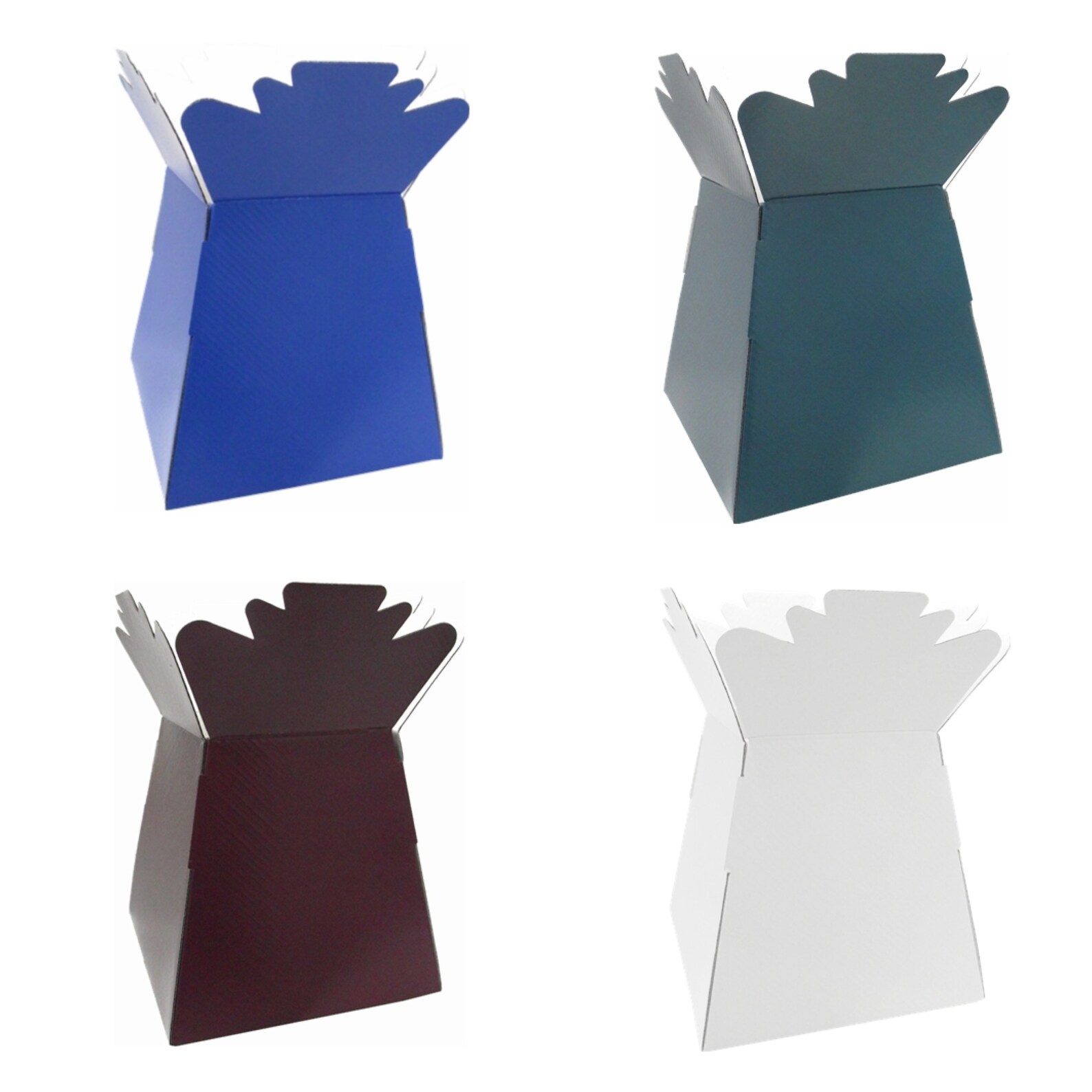 Living Vases Florist Bouquet Box Flower Plant Aqua Sweet Boxes Many ...