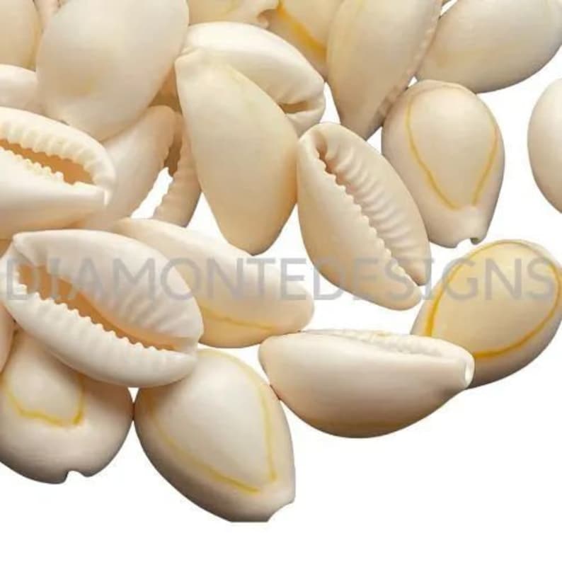20 Pcs Natural Cowrie Shell Beads Jewellery Craft Beach Sea Cowry ...
