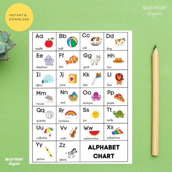 Alphabet Chart Real - Etsy