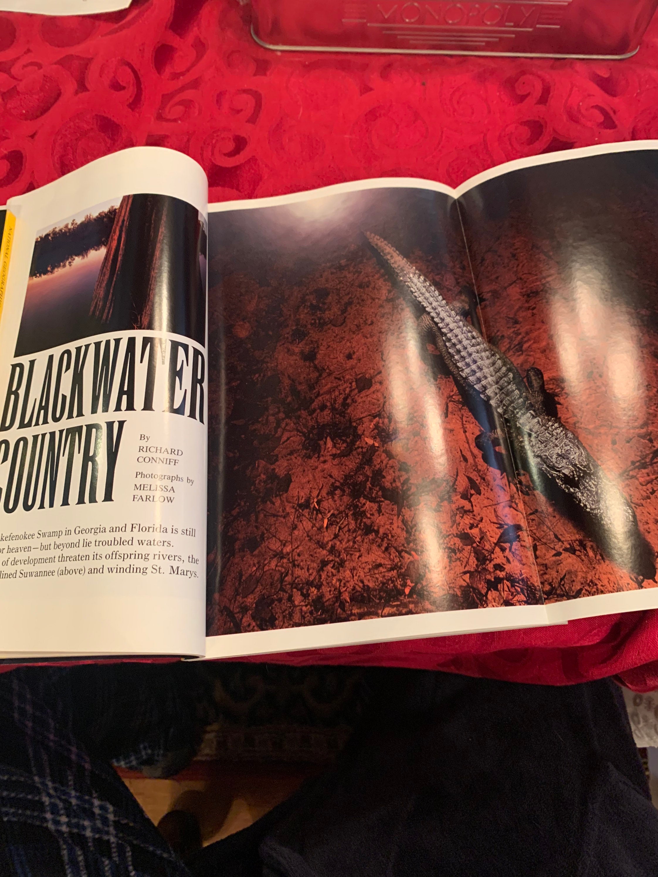 April 1992 National Geographic Magazine - Etsy