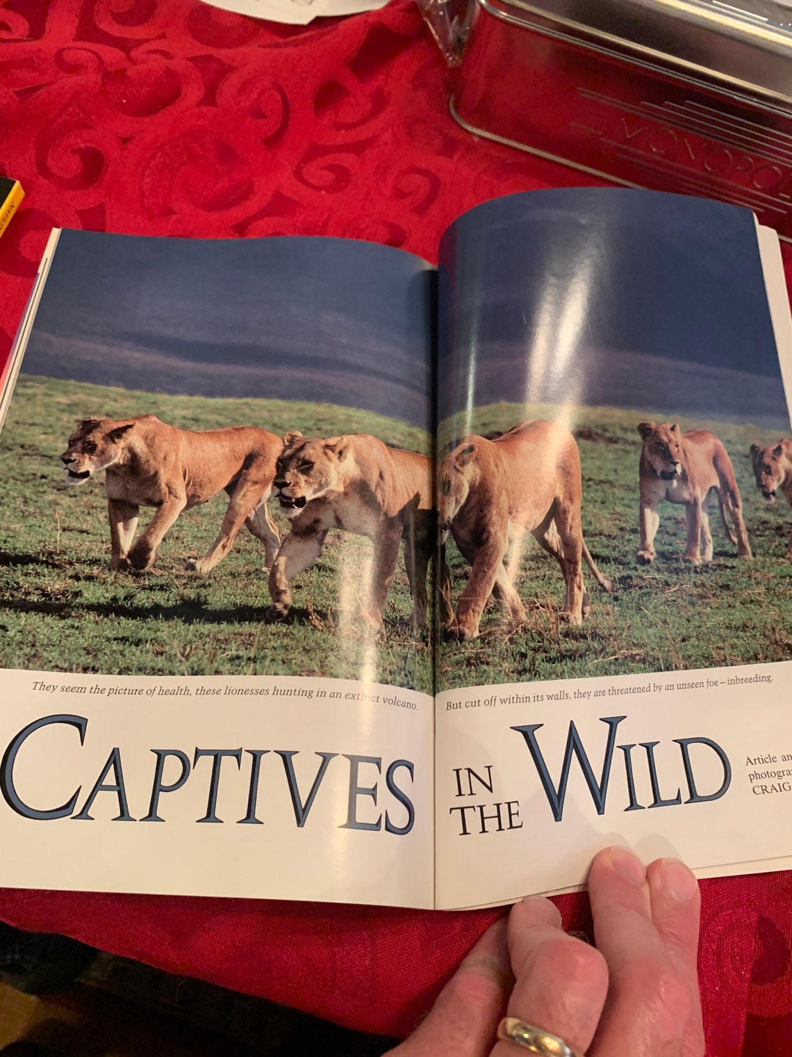 April 1992 National Geographic Magazine - Etsy