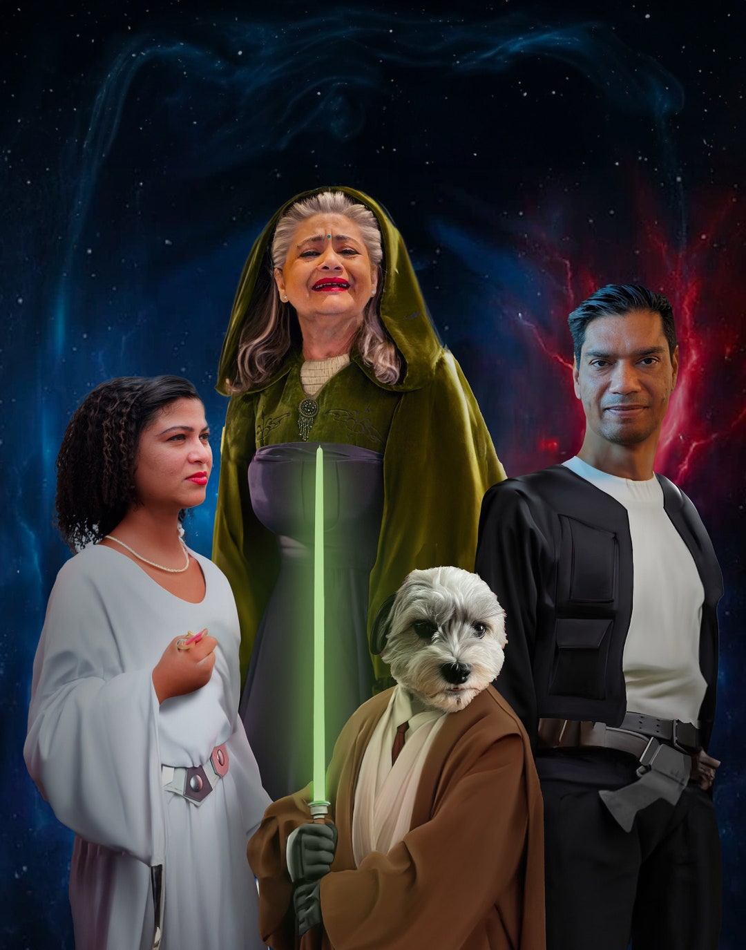 Star Wars Pet Portraits Pet Portraits Dog Art Car Art Wall Art TV Shows ...