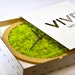 Light Wooden Moss Clock, Stabilized Moss Clock, Scandinavian Moss Clock ...
