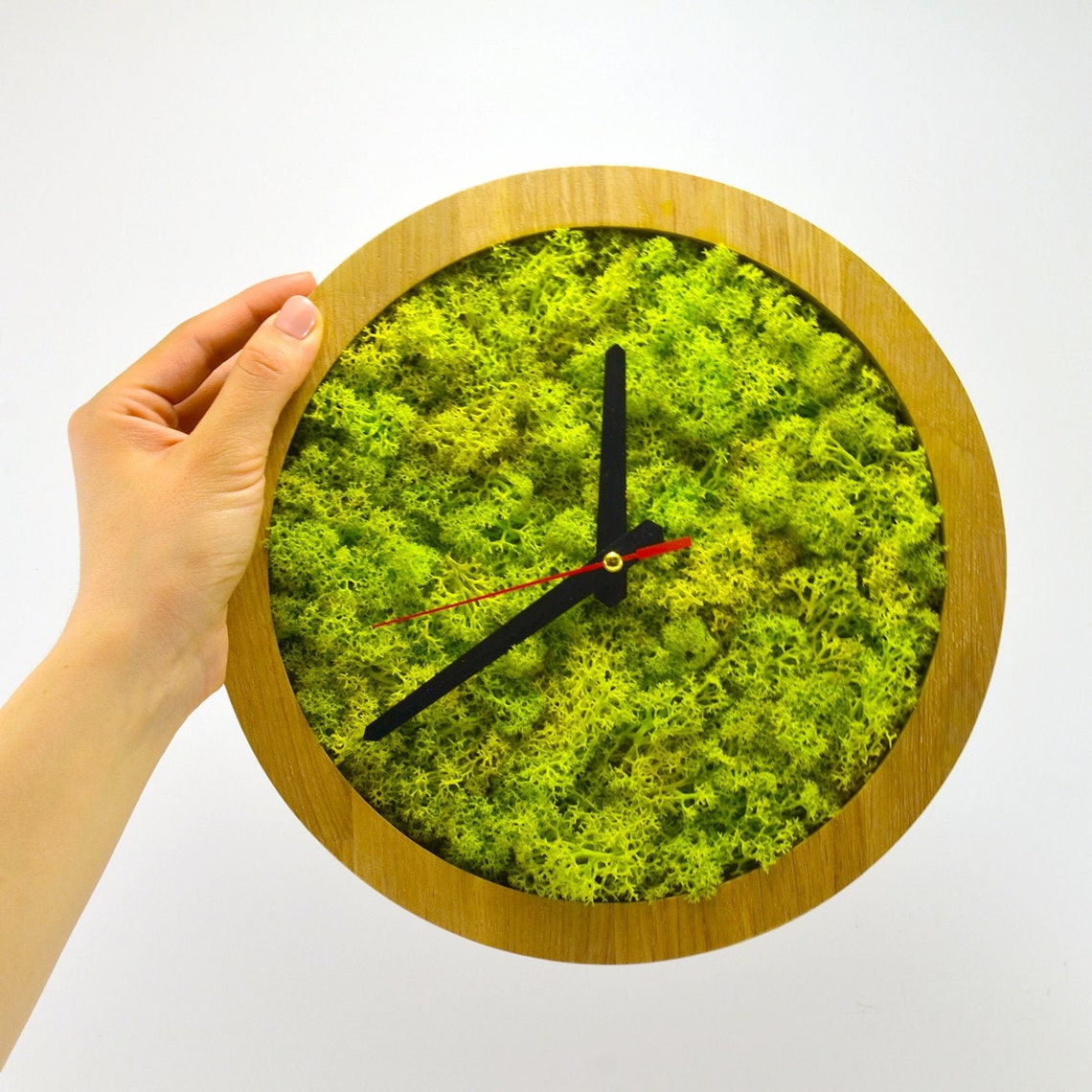 Light Wooden Moss Clock Stabilized Moss Clock Scandinavian | Etsy