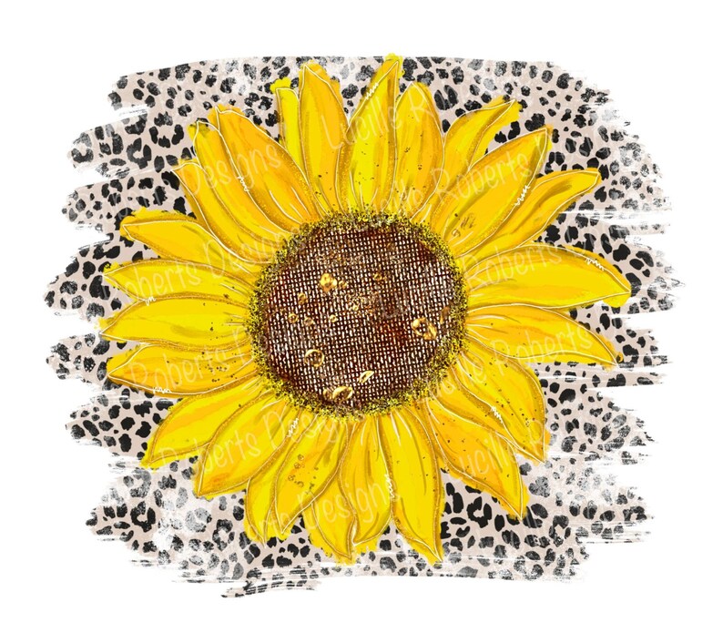 Hand Drawn Sunflower Png, Sunflower With Leopard Back Splash, Yellow ...