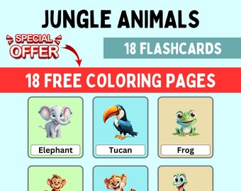 8 Safari Animals Cards, Montessori Flash Cards, Pre-school Cards ...