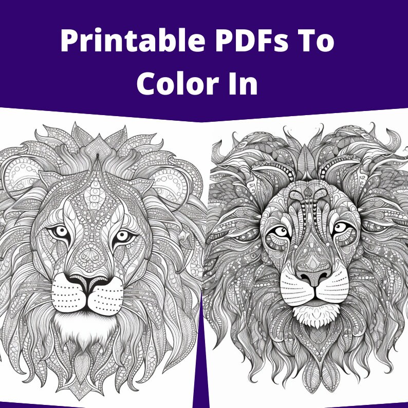 Lion Mandala Coloring Pages 30 Page Colouring Book - Etsy