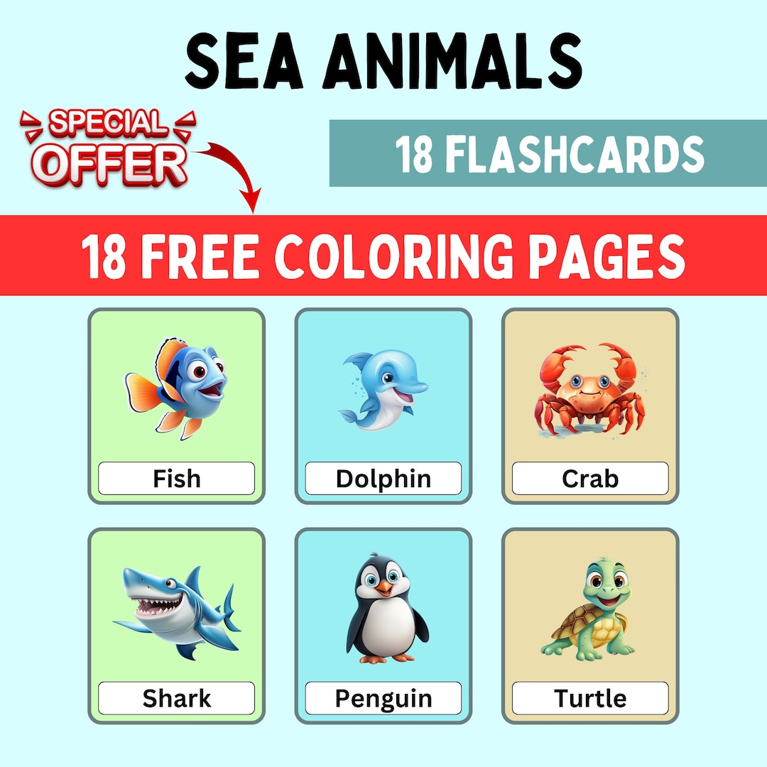 18 Sea Animals Cards, Montessori Flash Cards, Pre-school Cards, Rainbow ...