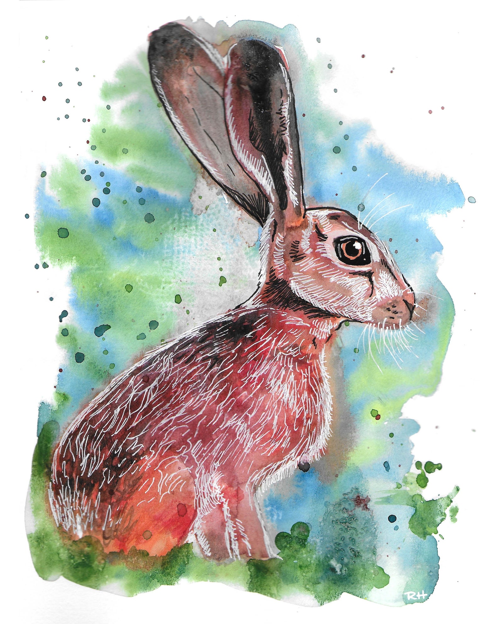 Hare Print Watercolour Watercolor Original watercolour | Etsy