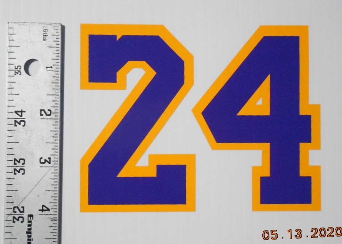 Pro Basketball 8 24 STICKER DECAL NBA Star - Etsy