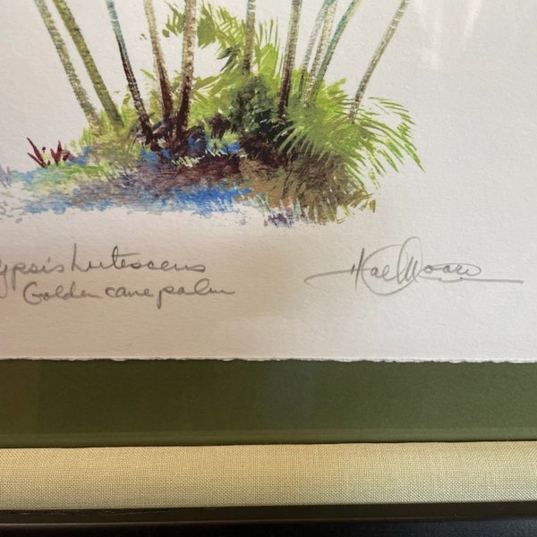 Hal Moore - Etsy