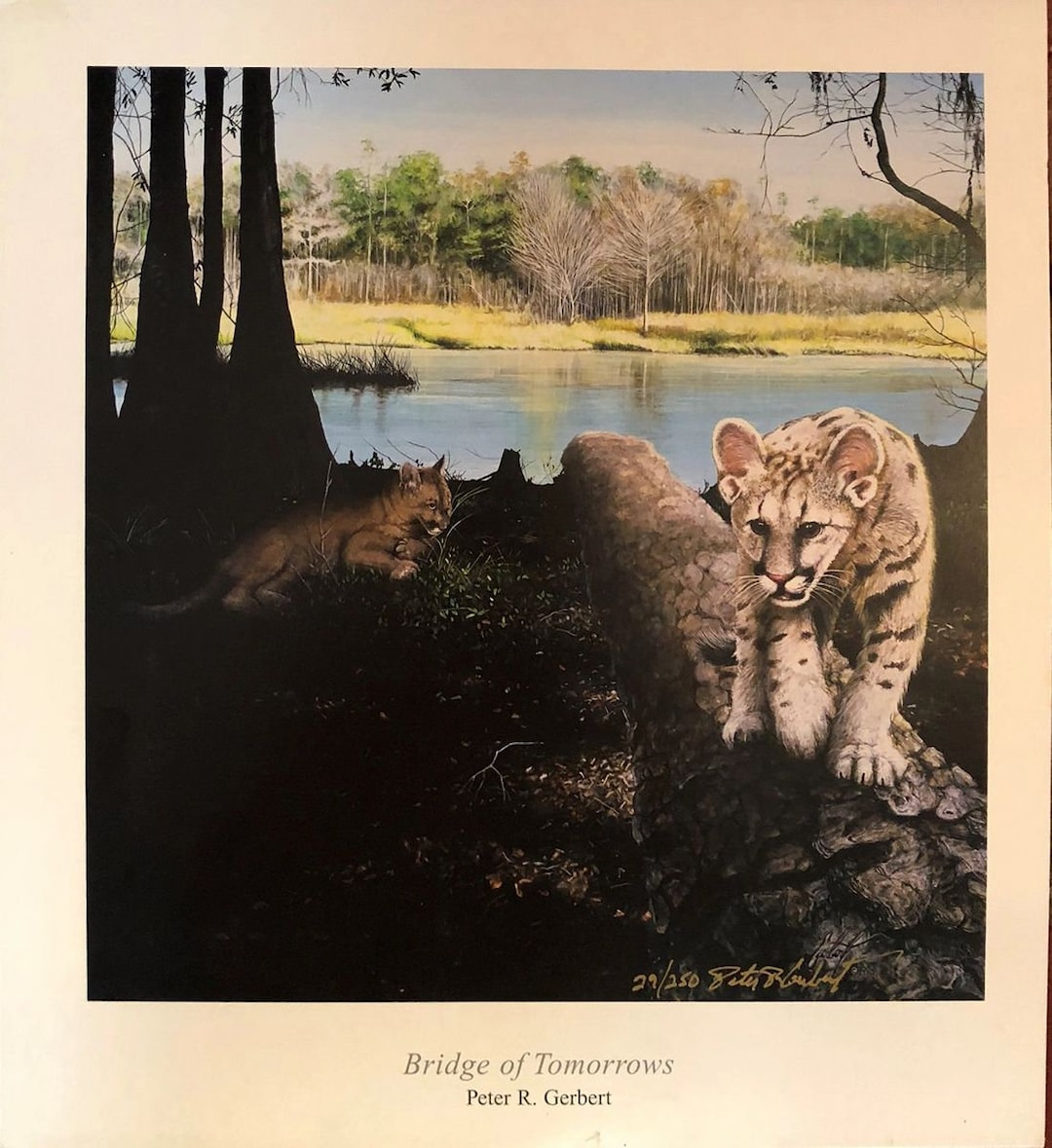 Peter R. Gerbert bridge of Tomorrow Limited Edition 29/250 - Etsy