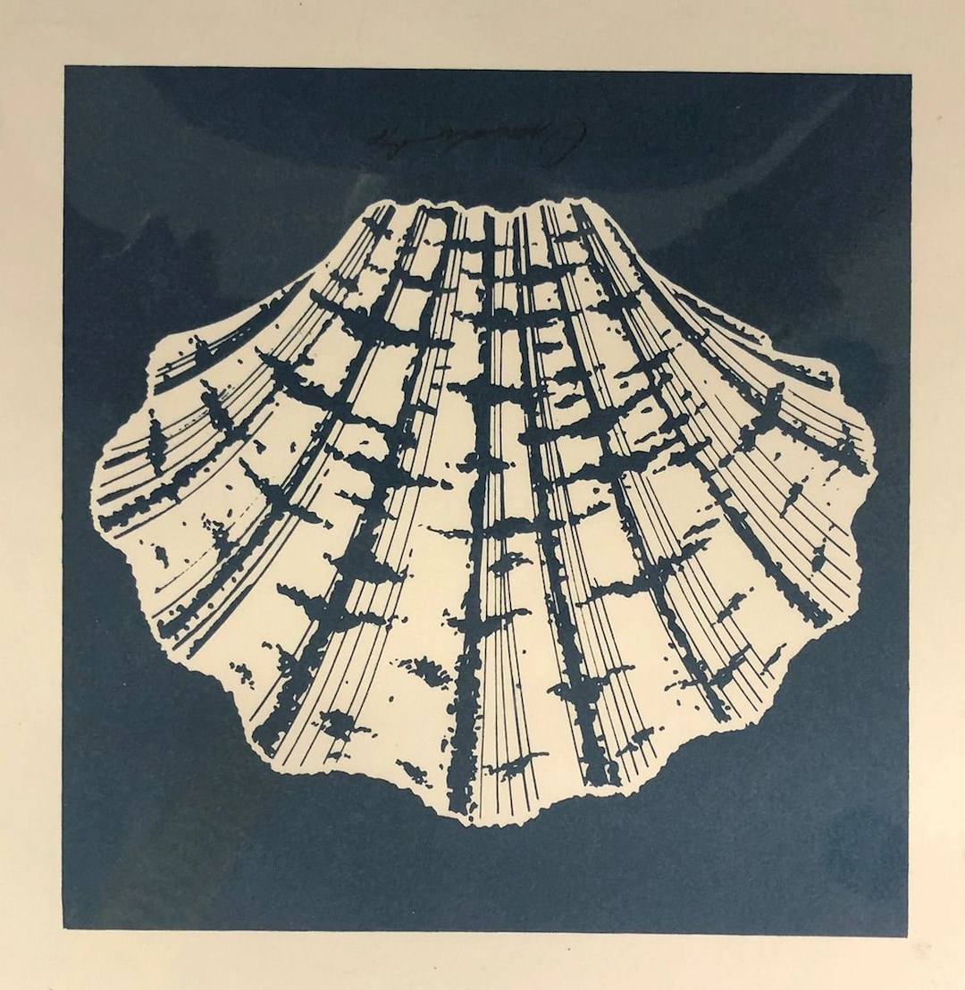 Scallop Shell Artist Signed and Approved 7"x7" - Etsy