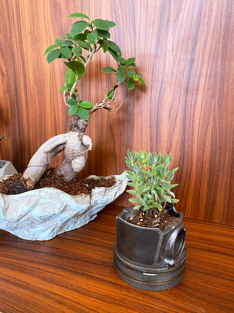 Upcycled Car Piston Flower Pot: Handmade Modern Design - Etsy