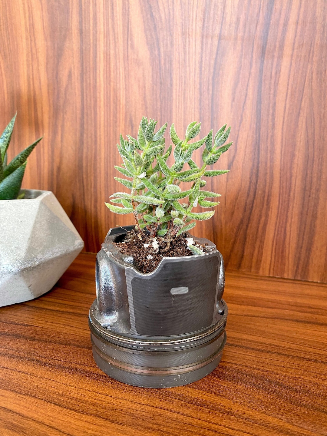 Upcycled Car Piston Flower Pot: Handmade Modern Design - Etsy