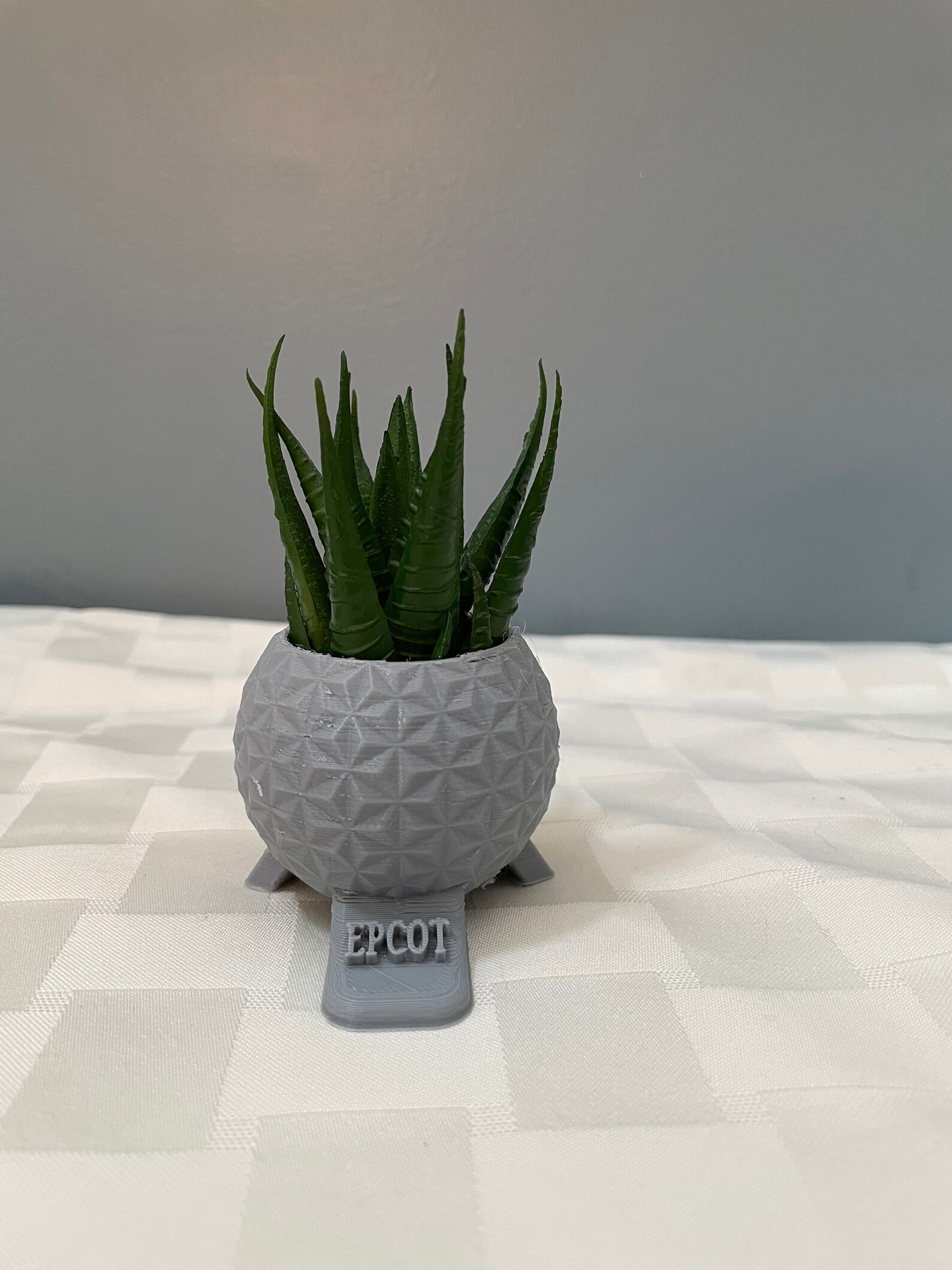 Disney World Epcot Planter Succulent Cactus Plants | Etsy