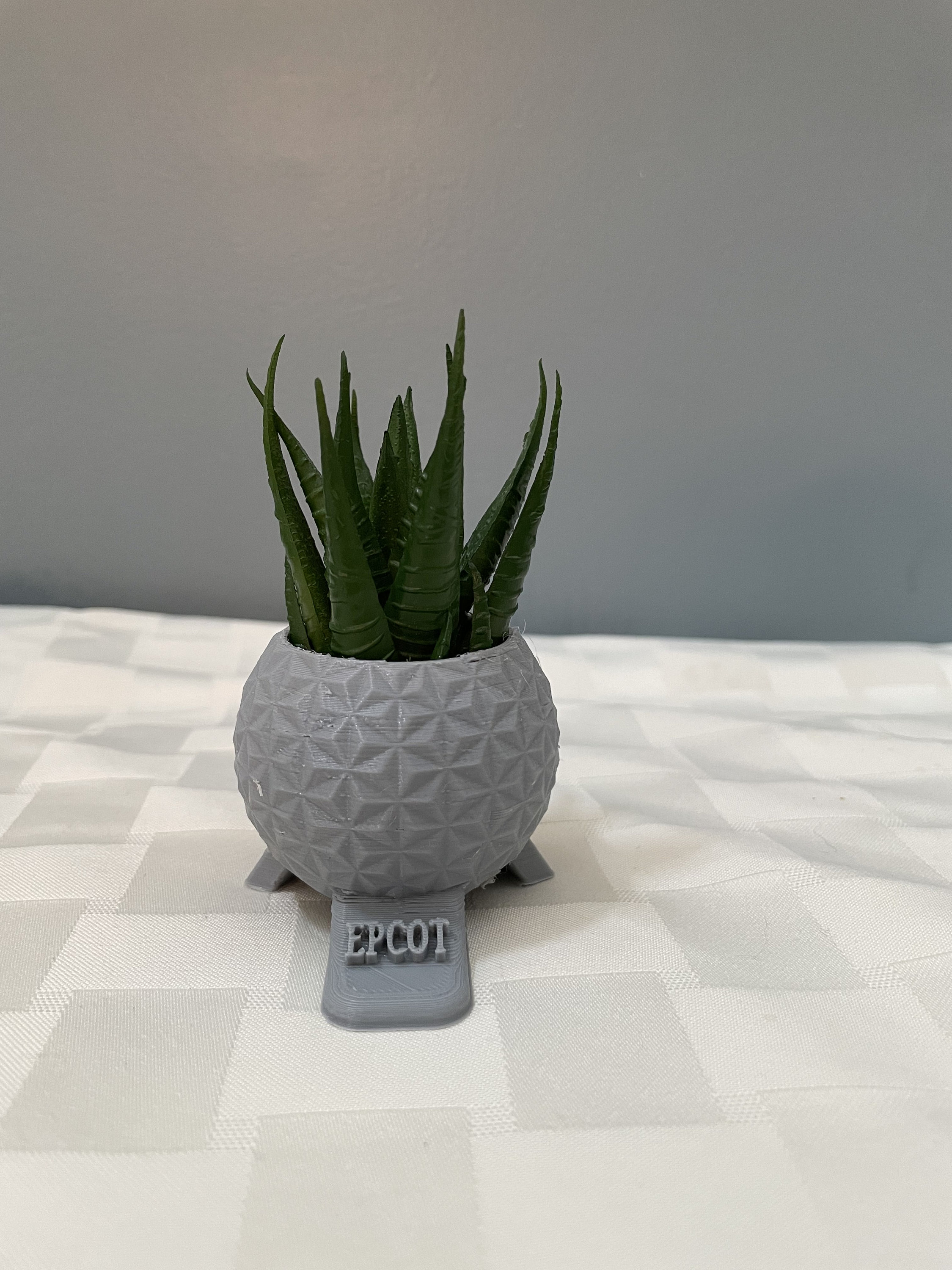 Disney World Epcot Planter Succulent Cactus Plants | Etsy