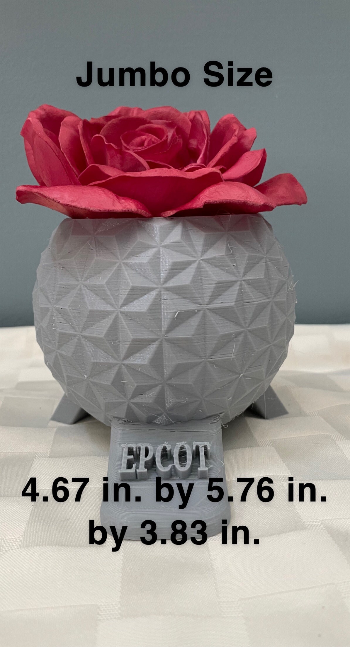 Disney World Epcot Planter Succulent Cactus Plants | Etsy