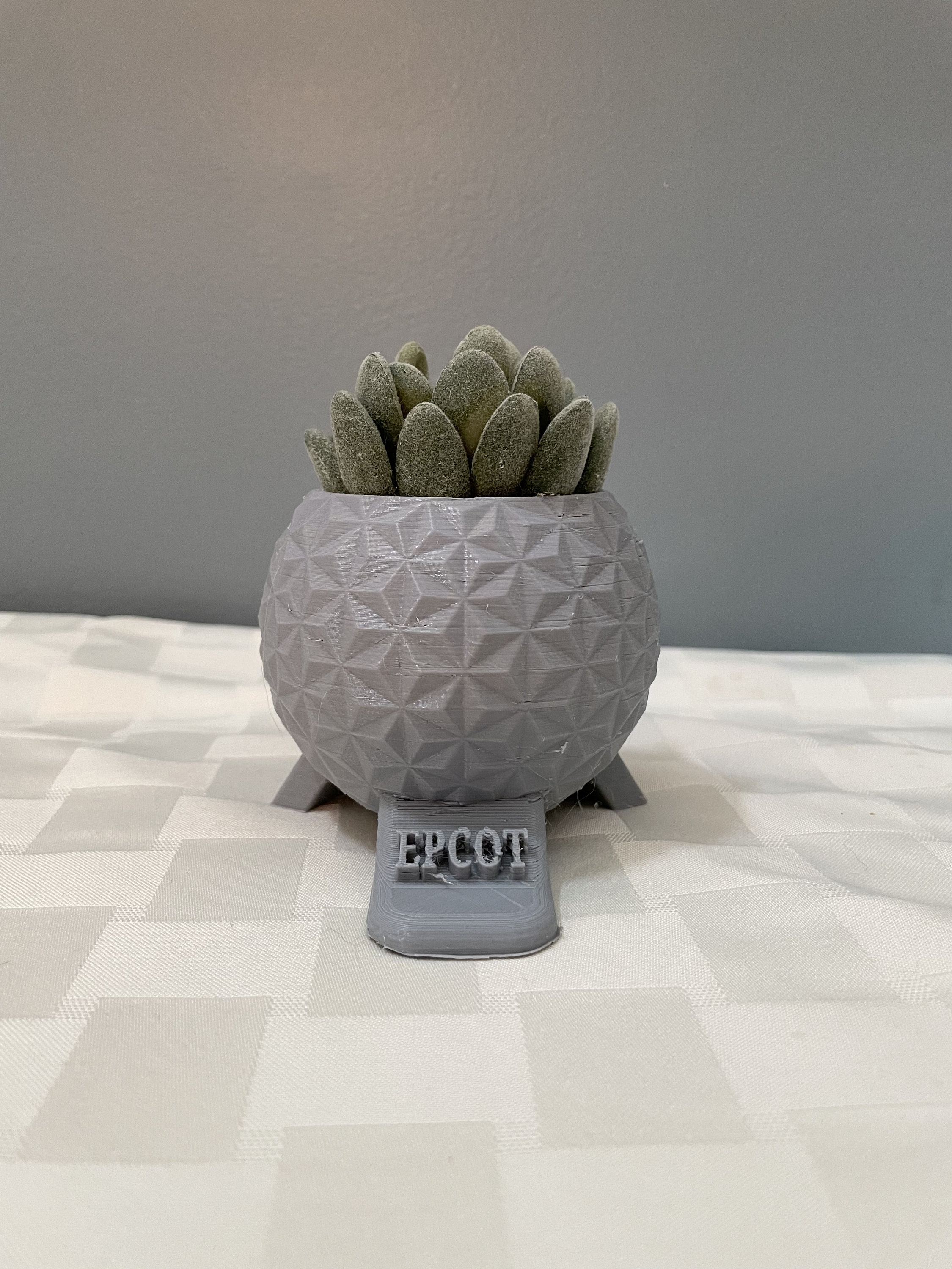 Disney World Epcot Planter Succulent Cactus Plants - Etsy