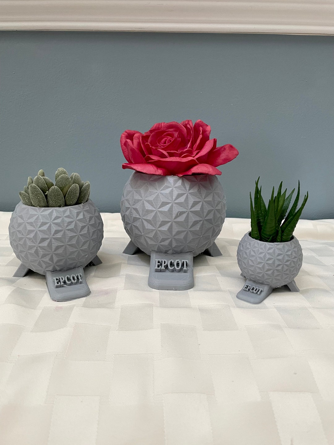 Disney World Epcot Planter Succulent Cactus Plants Spaceship Earth - Etsy