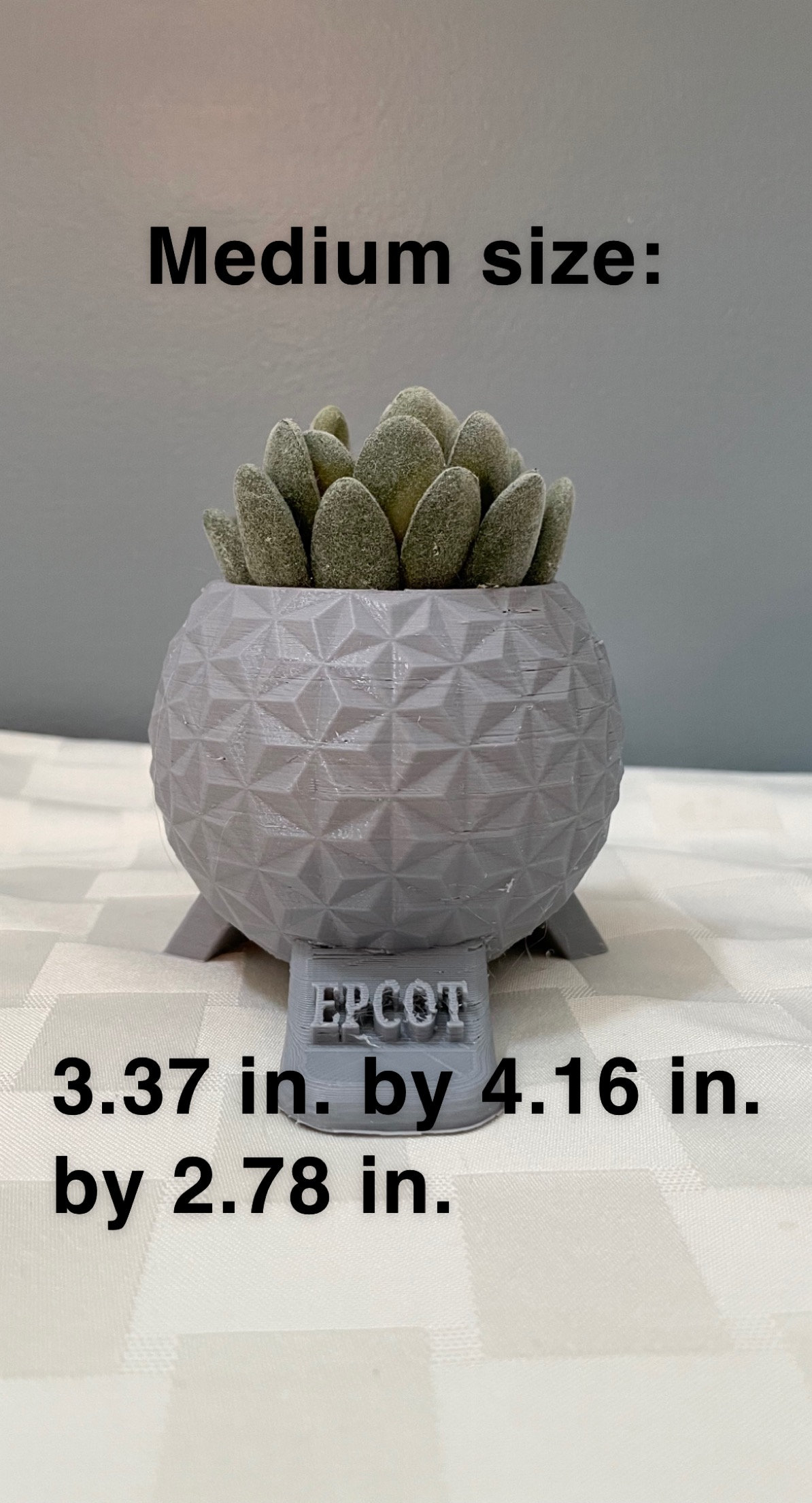 Disney World Epcot Planter Succulent Cactus Plants - Etsy