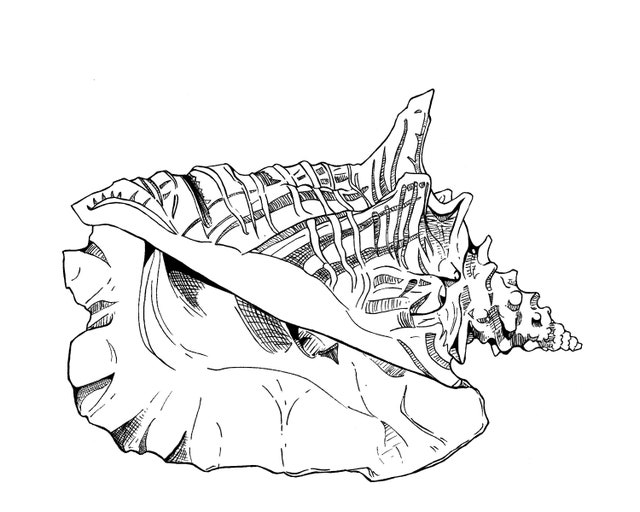 DrawingAMileHigh - Etsy