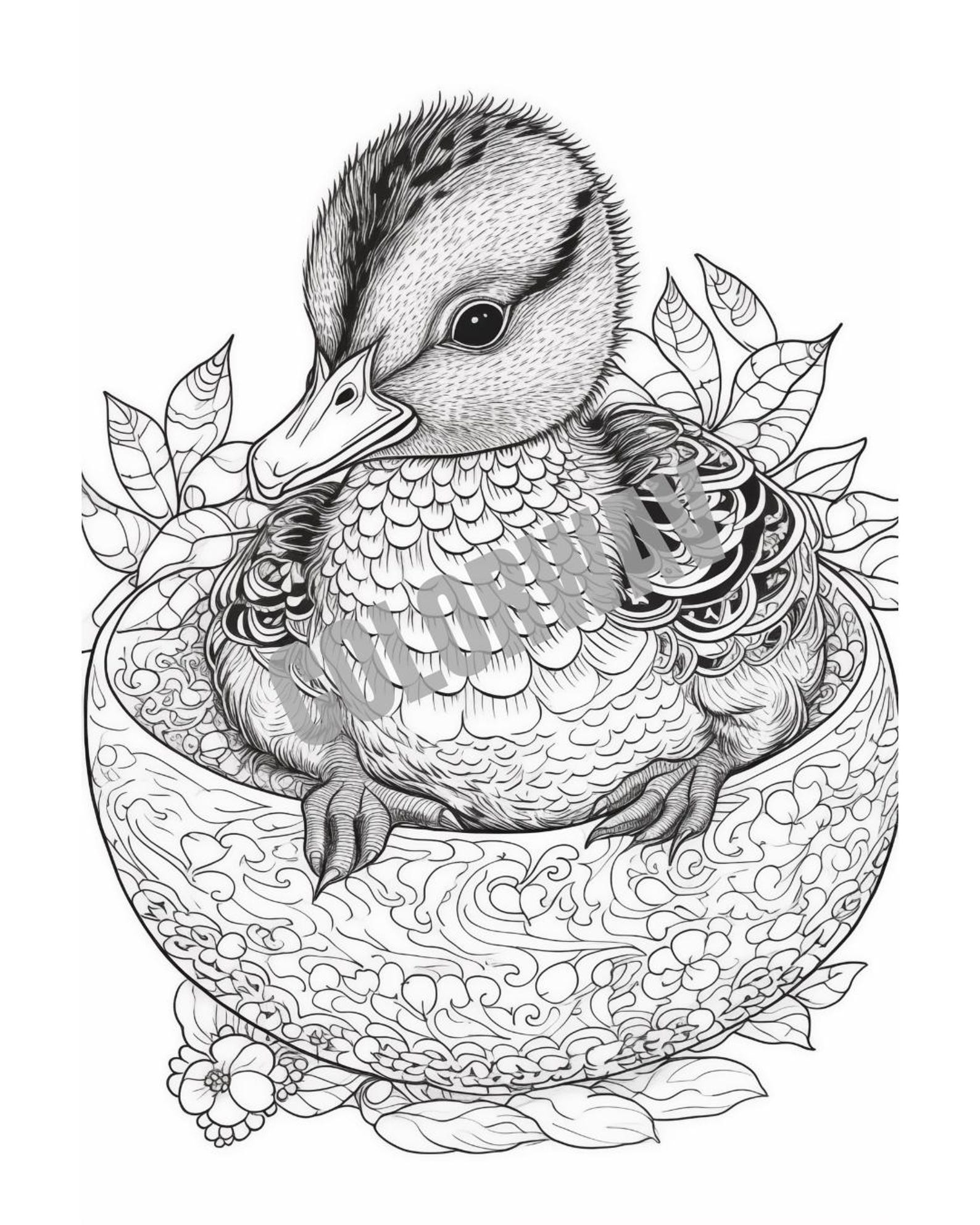 Adorable Baby Duck Mandalas: Set of 26 Cute & Calming Coloring Pages ...