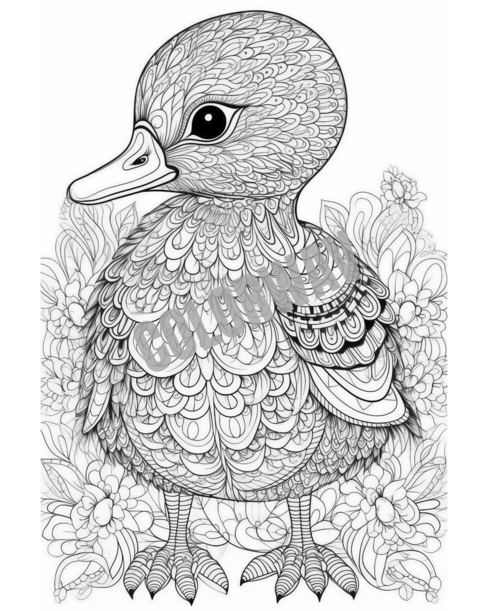 Adorable Baby Duck Mandalas: Set of 26 Cute & Calming Coloring Pages ...