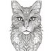 Cat Mandala Coloring Pages - Set of 8, Intricate Feline Designs ...