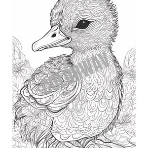 Adorable Baby Duck Mandalas: Set of 26 Cute & Calming Coloring Pages ...