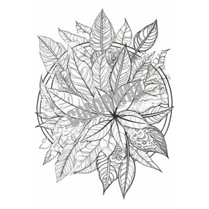 Leafy Mandalas: Set of 26 Intricate Leaf Mandala Coloring Pages ...