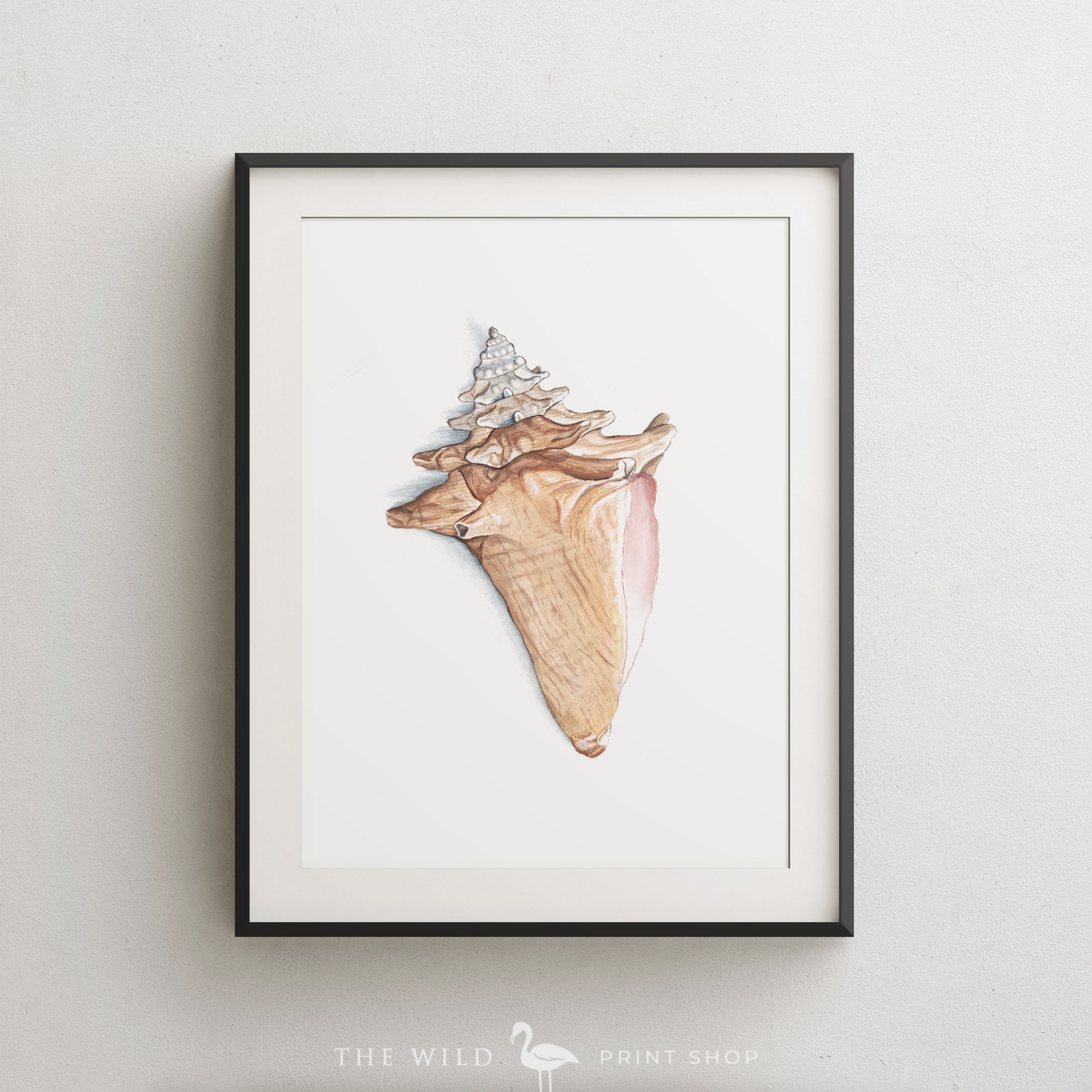 Seashell Print Vintage Seashell Print Seashell Wall Art | Etsy