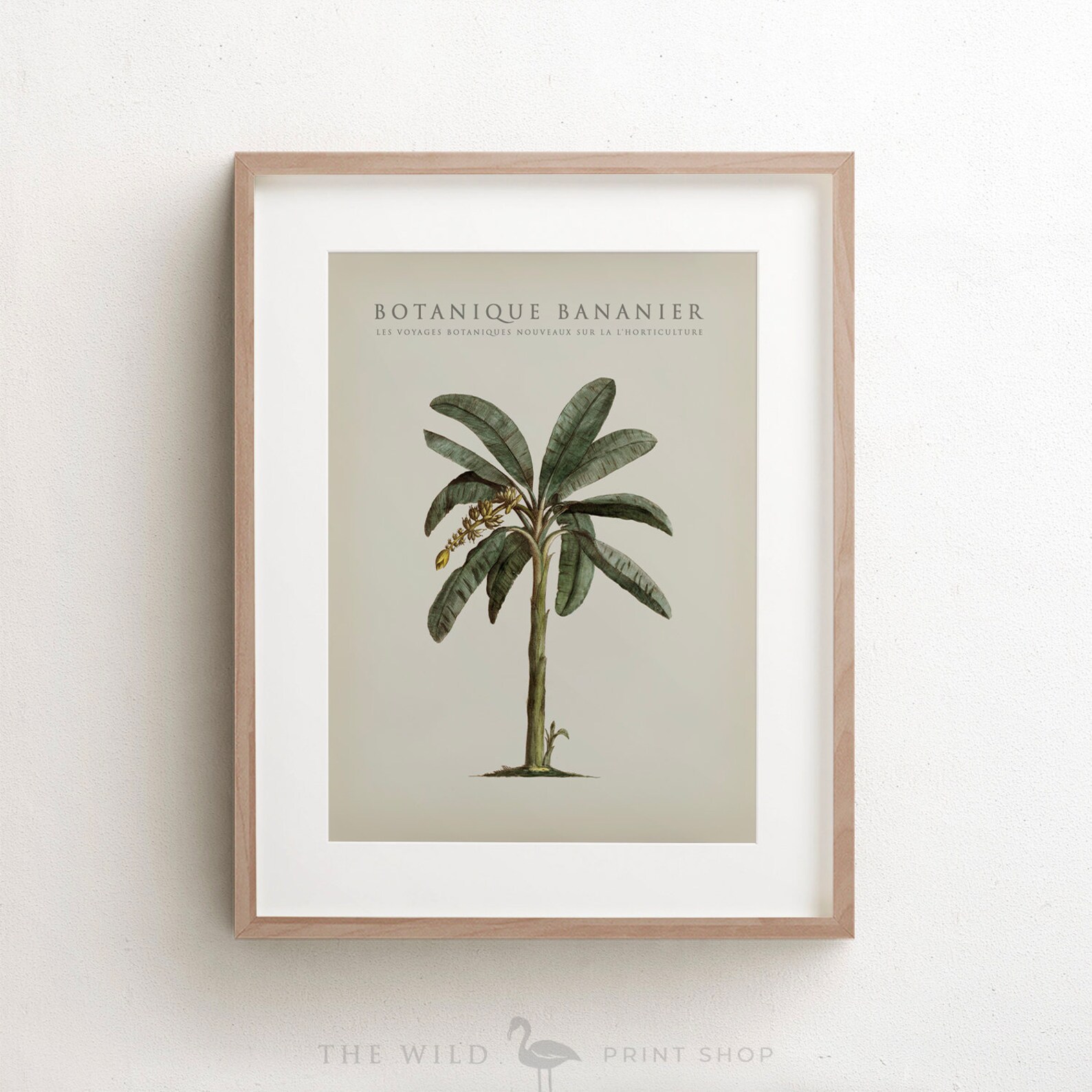 Banana Tree Print Banana Tree Art Print Vintage Botanical - Etsy