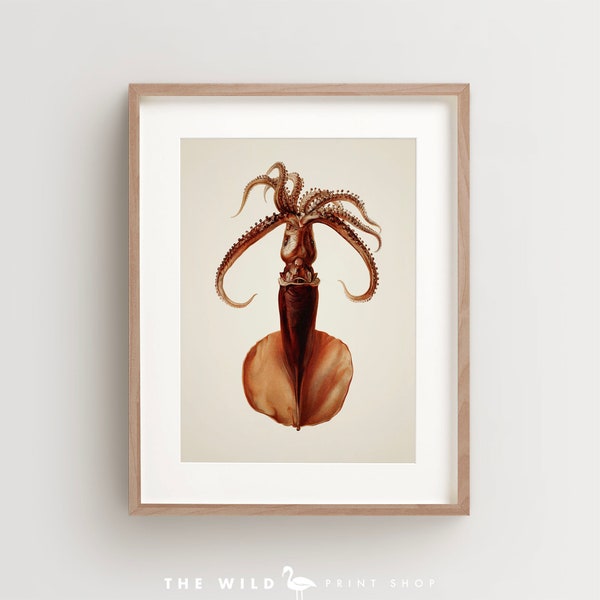 Squid Art - Etsy