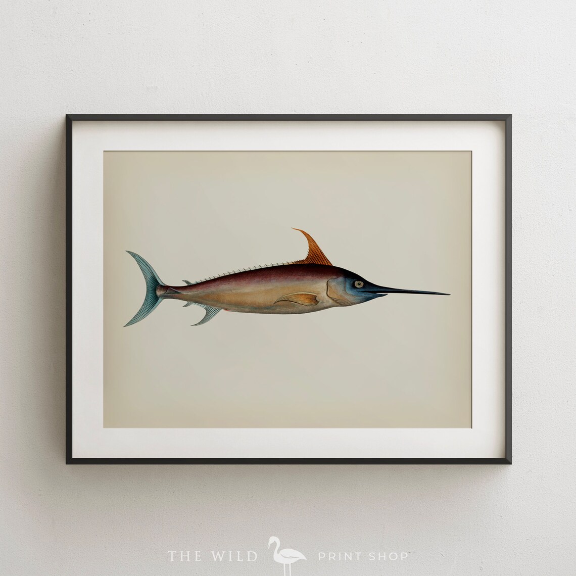 Vintage Fish Print Tropical Fish Print Fish Wall Art | Etsy