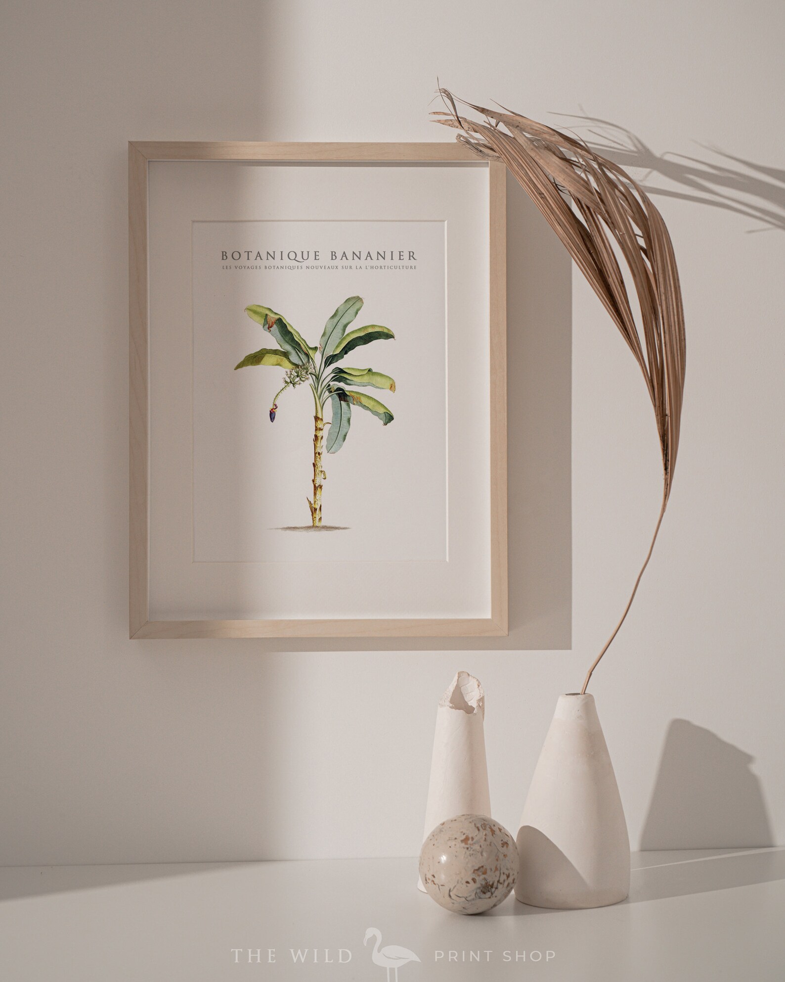 Banana Tree Print Banana Tree Art Print Vintage Botanical - Etsy
