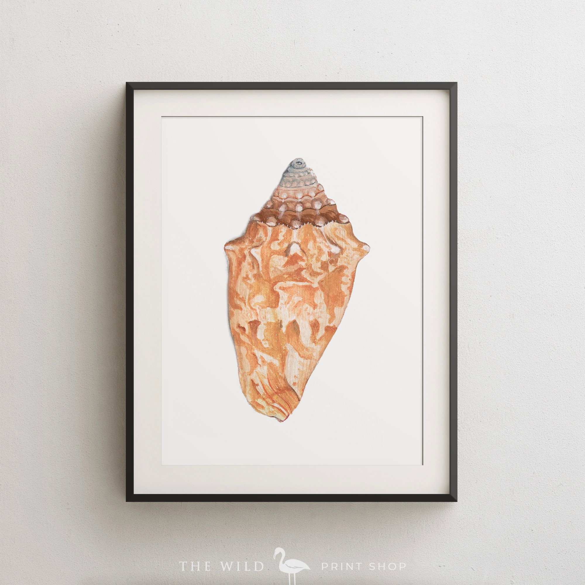 Seashell Print Vintage Seashell Print Seashell Wall Art | Etsy