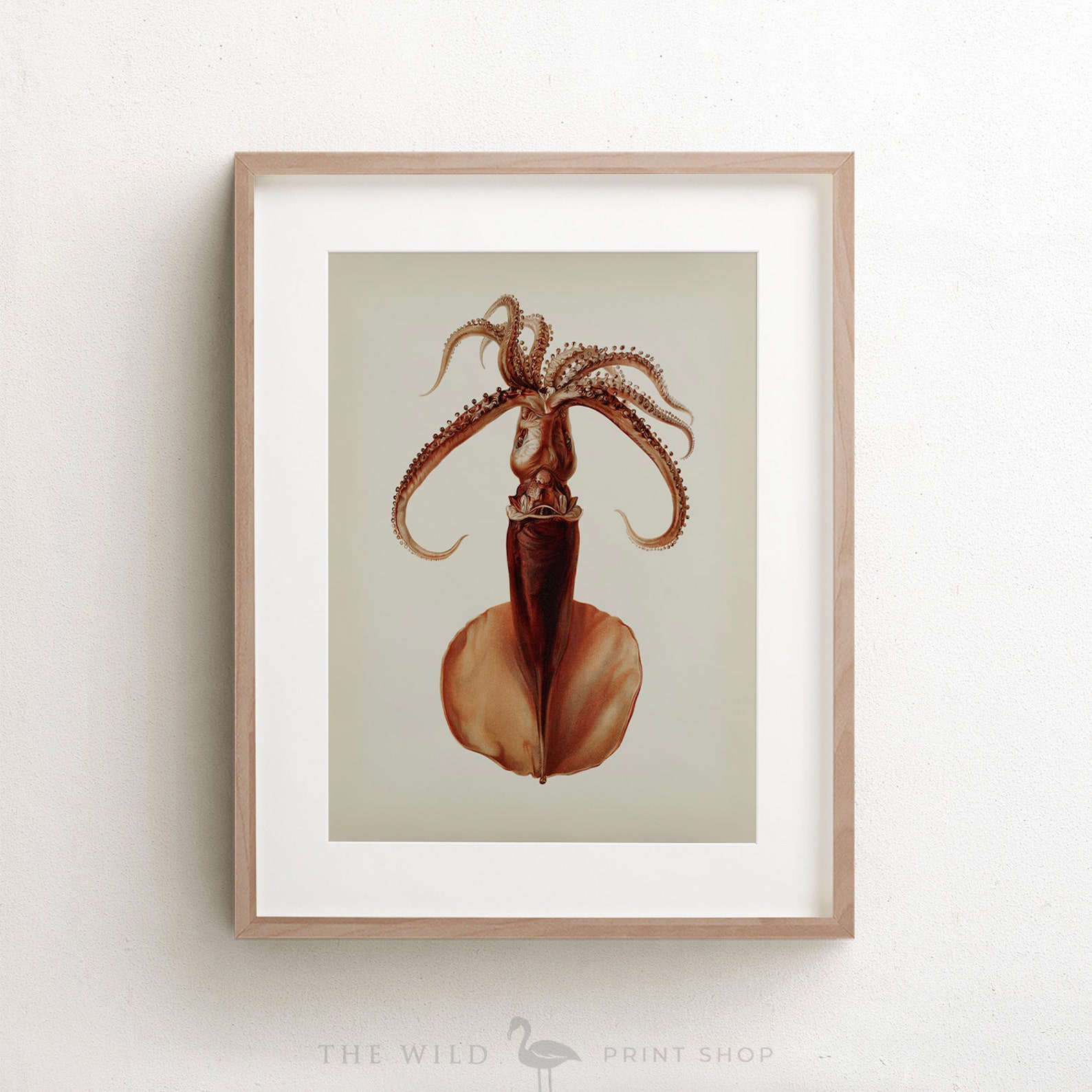 Squid Print Vintage Squid Print Squid Wall Art Nautical | Etsy