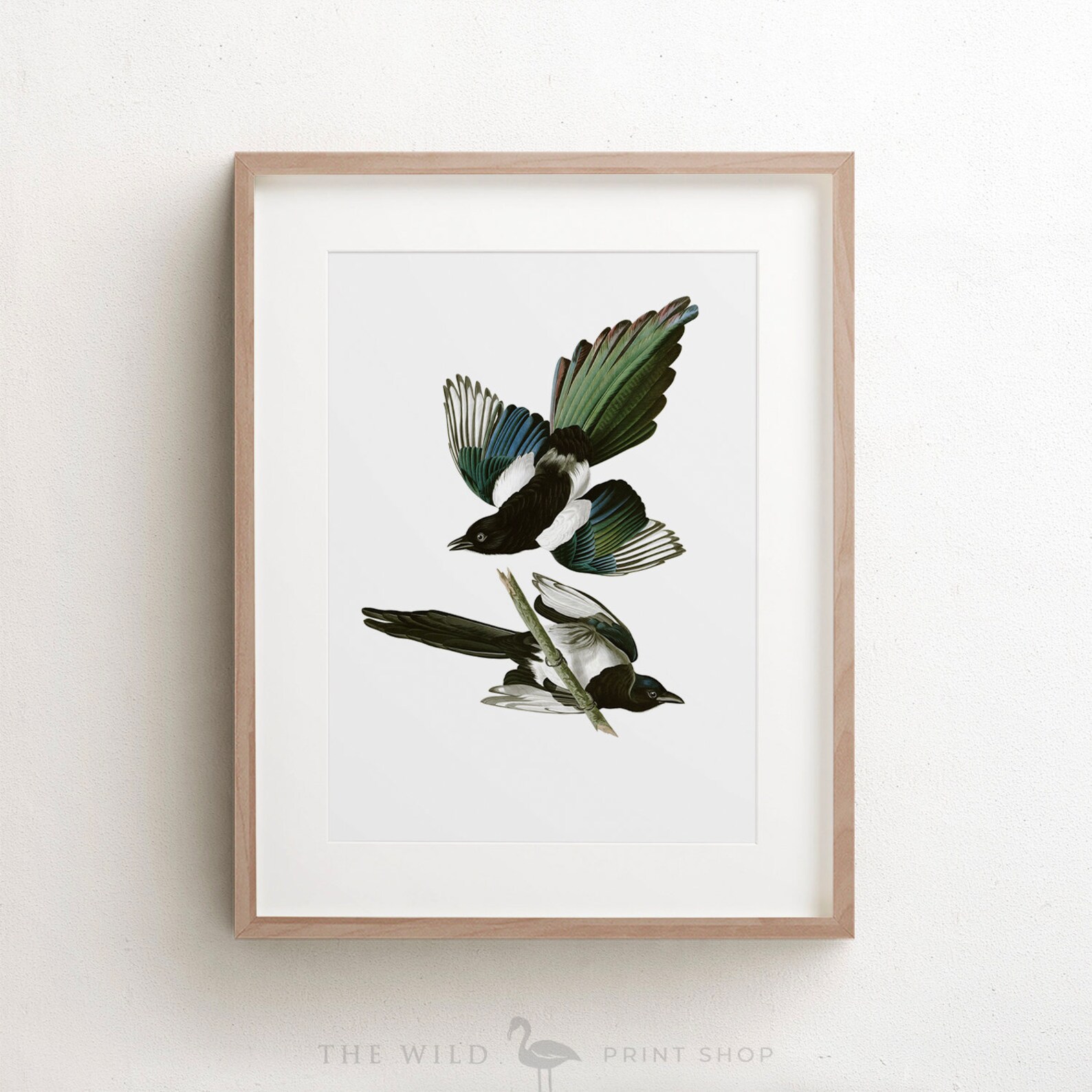 Vintage Bird Print American Magpie Print Bird Wall Art - Etsy