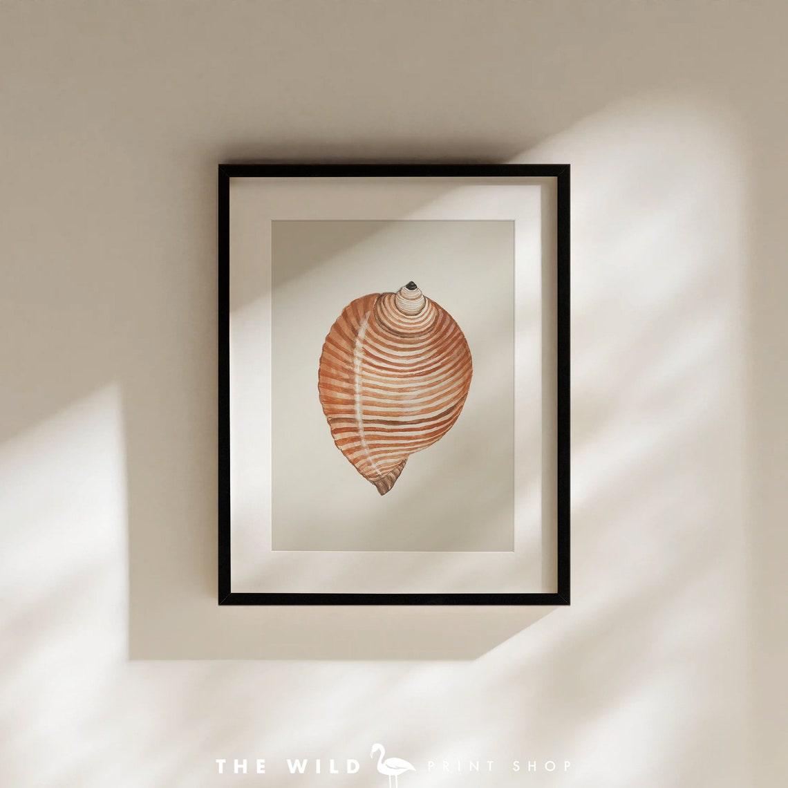 Seashell Print, Vintage Seashell Print, Seashell Wall Art, Nautical ...