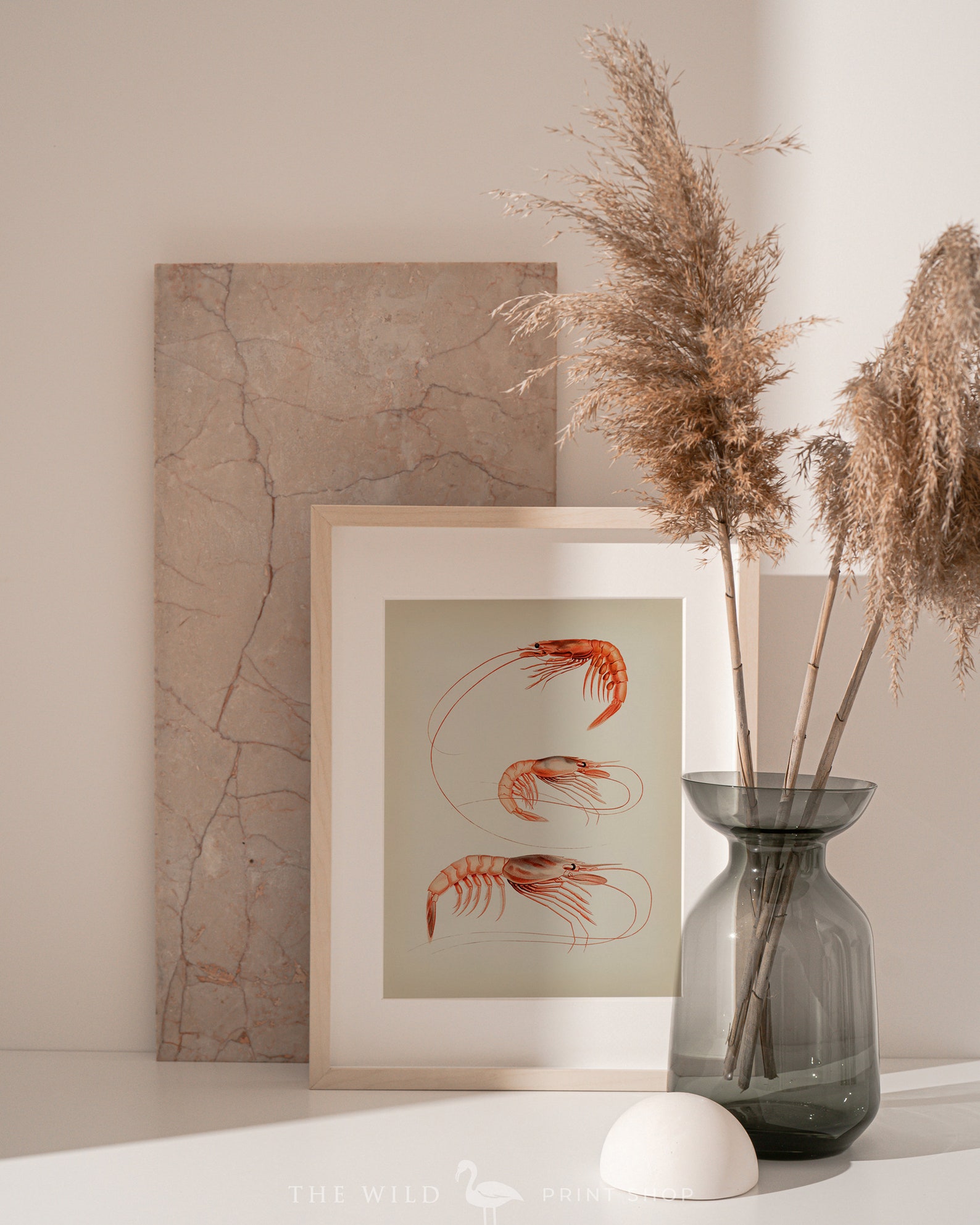 Shrimp Print Vintage Shrimp Print Shrimp Wall Art Nautical | Etsy