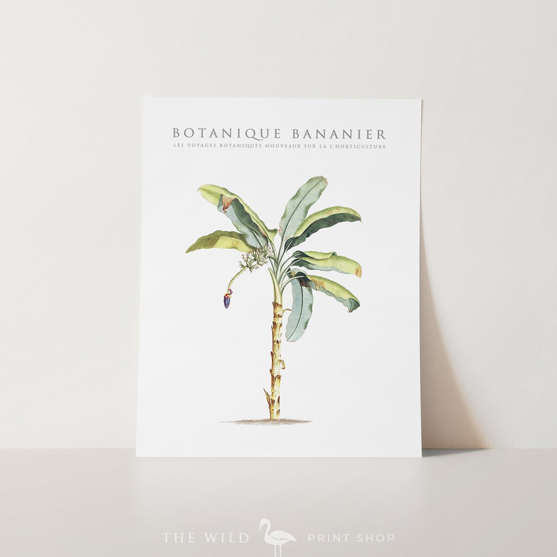 Banana Tree Print Banana Tree Art Print Vintage Botanical - Etsy