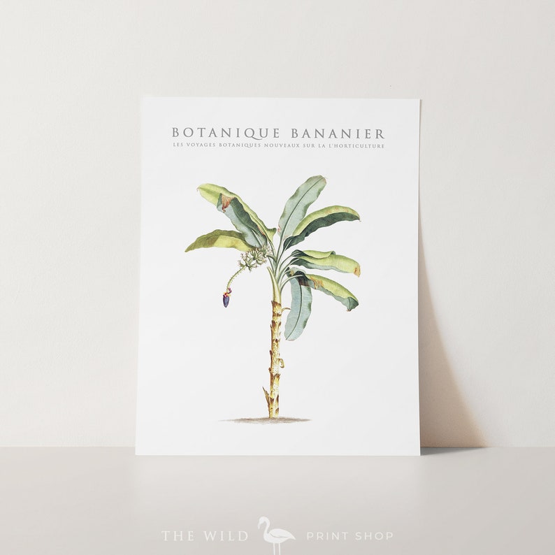 Banana Tree Print Banana Tree Art Print Vintage Botanical - Etsy