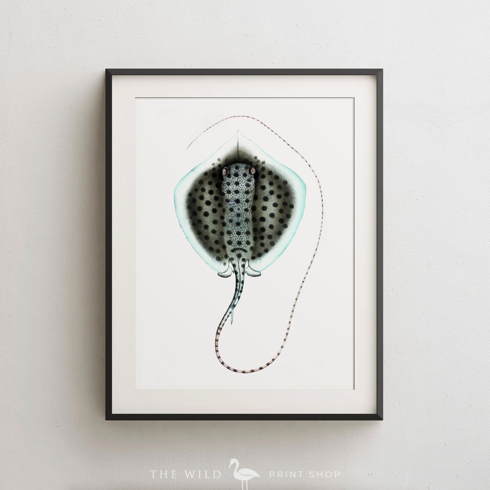 Sting Ray Print Vintage Stingray Print Stingray Wall Art | Etsy