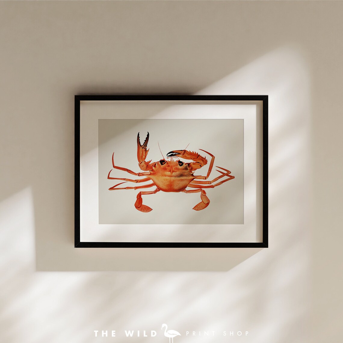 Crab Print, Vintage Crab Print, Crab Wall Art, Nautical Print Vertical ...