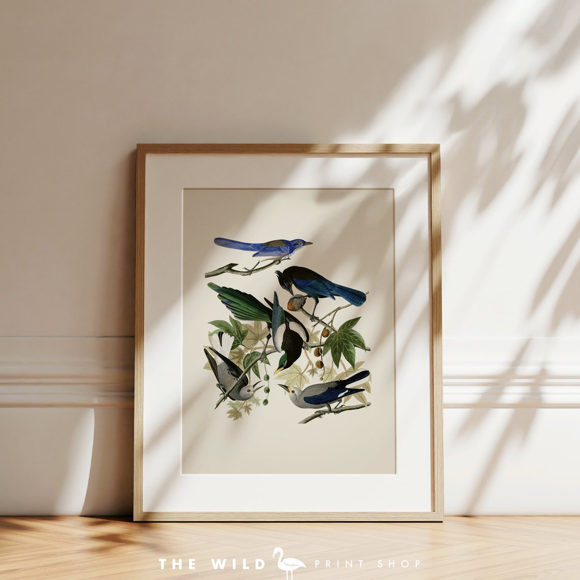 Vintage Bird Print, Yellow Billed Magpie Print, Bird Wall Art, Audubon ...