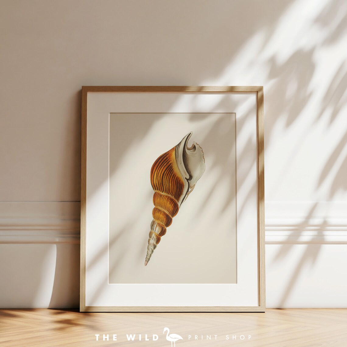 Seashell Print, Vintage Seashell Print, Seashell Wall Art, Nautical ...