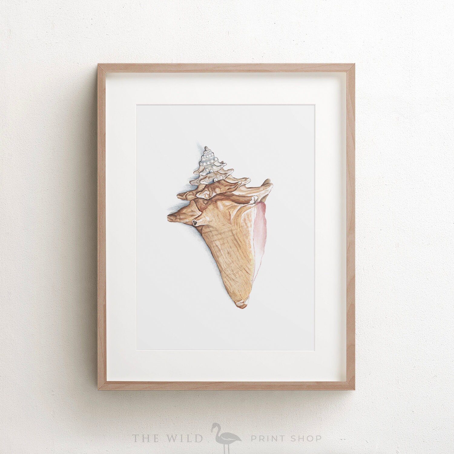 Seashell Print Vintage Seashell Print Seashell Wall Art | Etsy