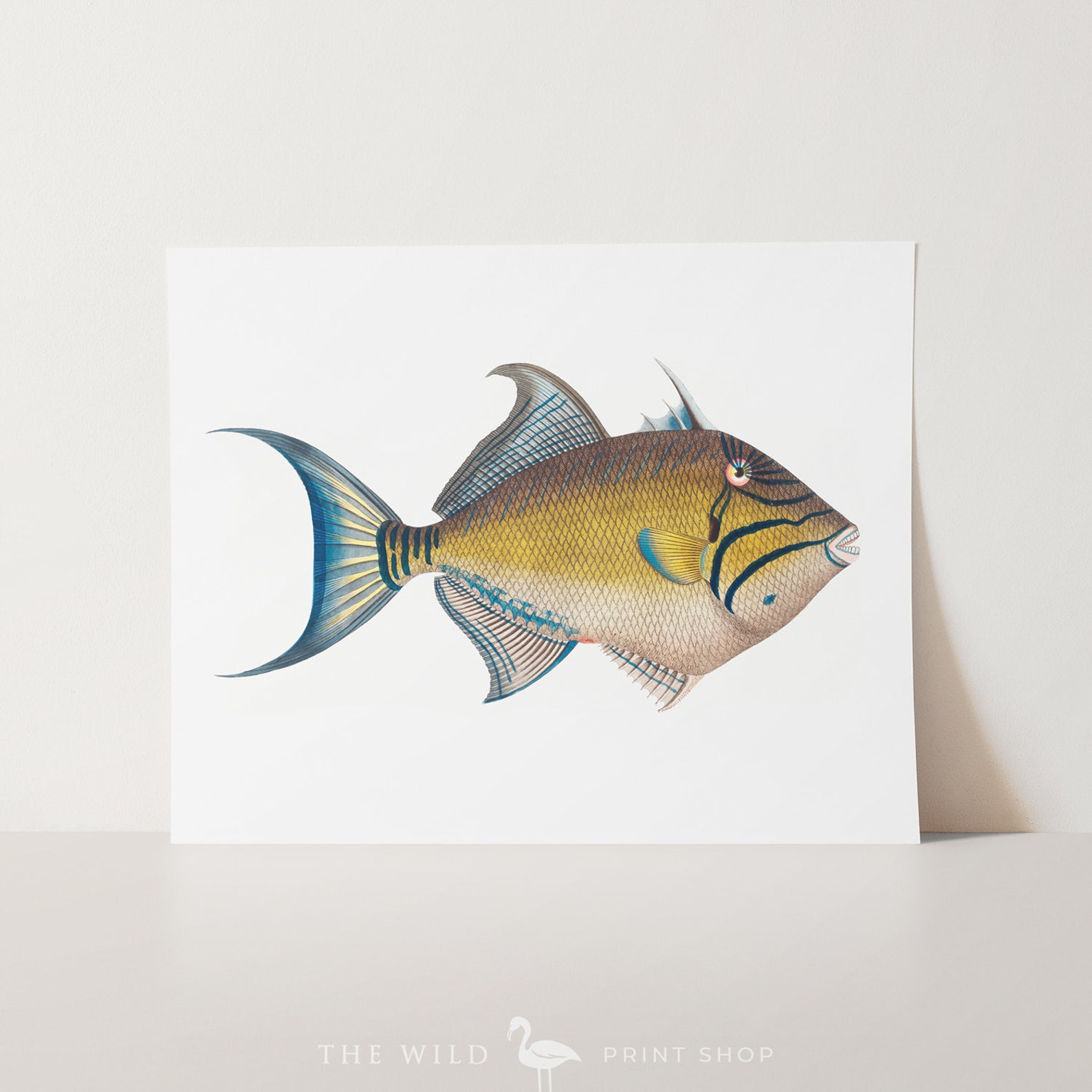 Vintage Fish Print Tropical Fish Print Fish Wall Art | Etsy