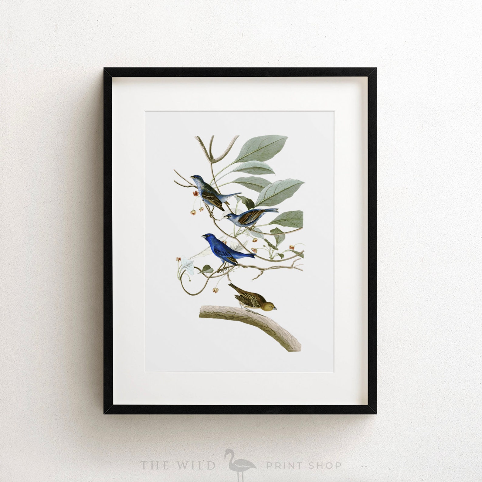 Vintage Bird Print Indigo Bird Print Bird Wall Art Audubon - Etsy